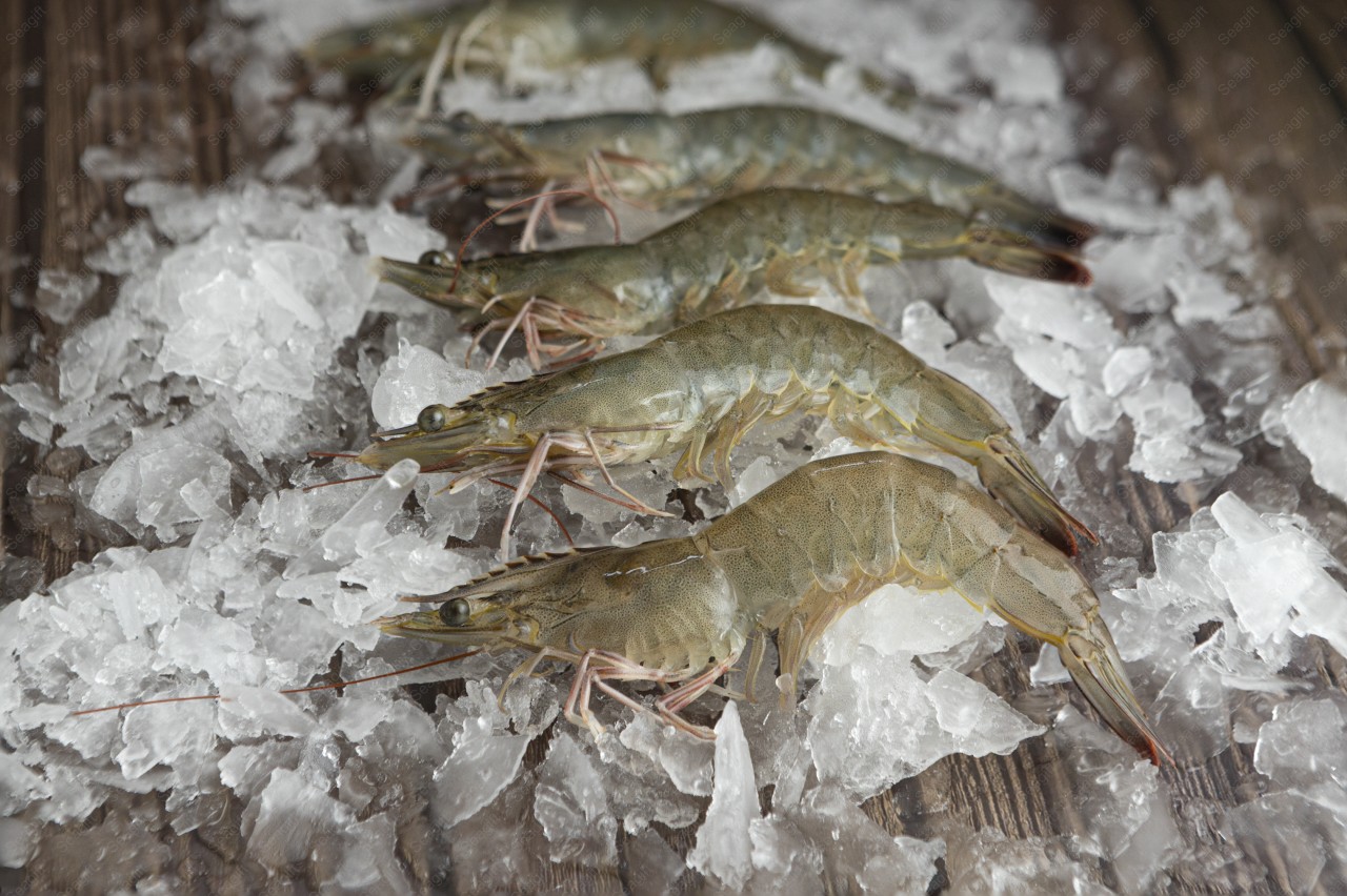 HOSO White/Vannamei shrimp||Tôm thẻ nguyên con – Seagift – the frozen ...